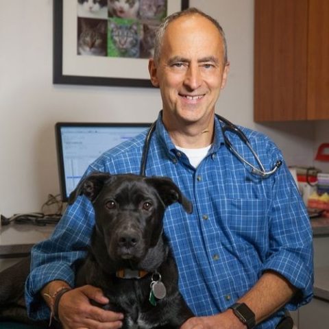Veterinarian In New York, NY 10001 | West Chelsea Veterinary