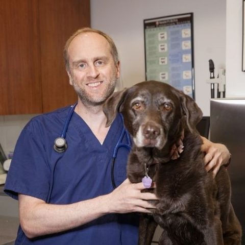 Veterinarian In New York, NY 10001 | West Chelsea Veterinary